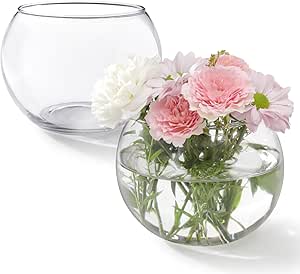 Amazon.com: 2 Pack Small Round Glass Bowl Vases,5.9” W x 4.5” H,Clear Glass Bubble Bowl Flower ...