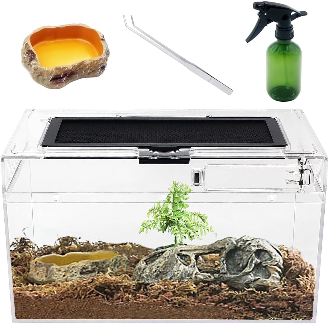 Amazon.com : Mini Reptile Terrarium Set,12" x 7"x 6" Low Reptile Tank ...