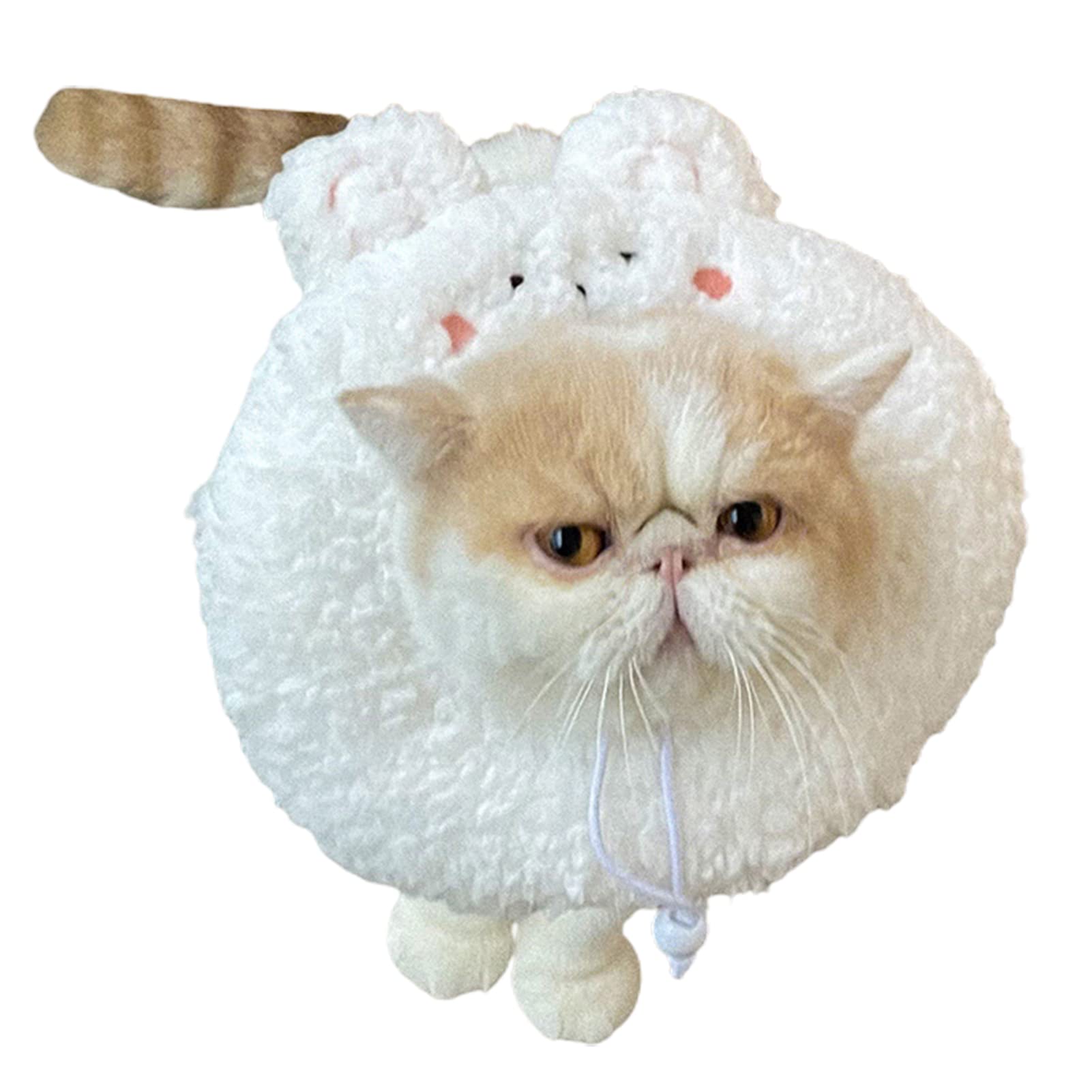 Cat With No Neck
