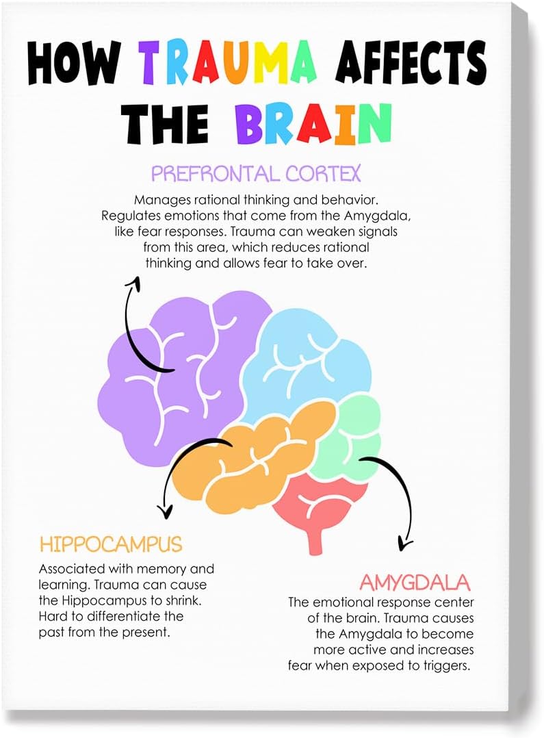 Amazon.com: OTINGQD Mental Health Decor,How Trauma Affects the Brain ...