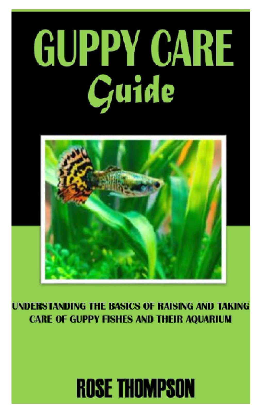 Guppy Care Guide Understanding The Basics Of Raising And Taking | Desertcart Bahamas