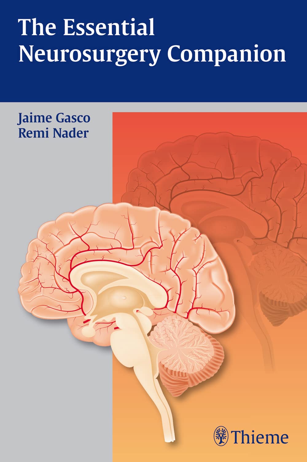 The Essential Neurosurgery Companion: 9781604067354: Medicine & Health ...