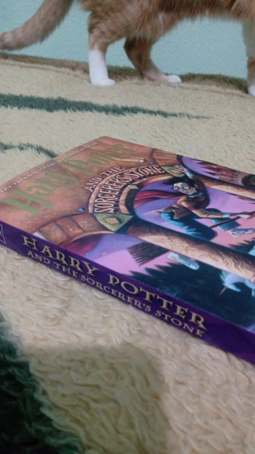 Harry Potter and the Philosopher's Stone, Book 1 (Edição em áudio): J.K ...