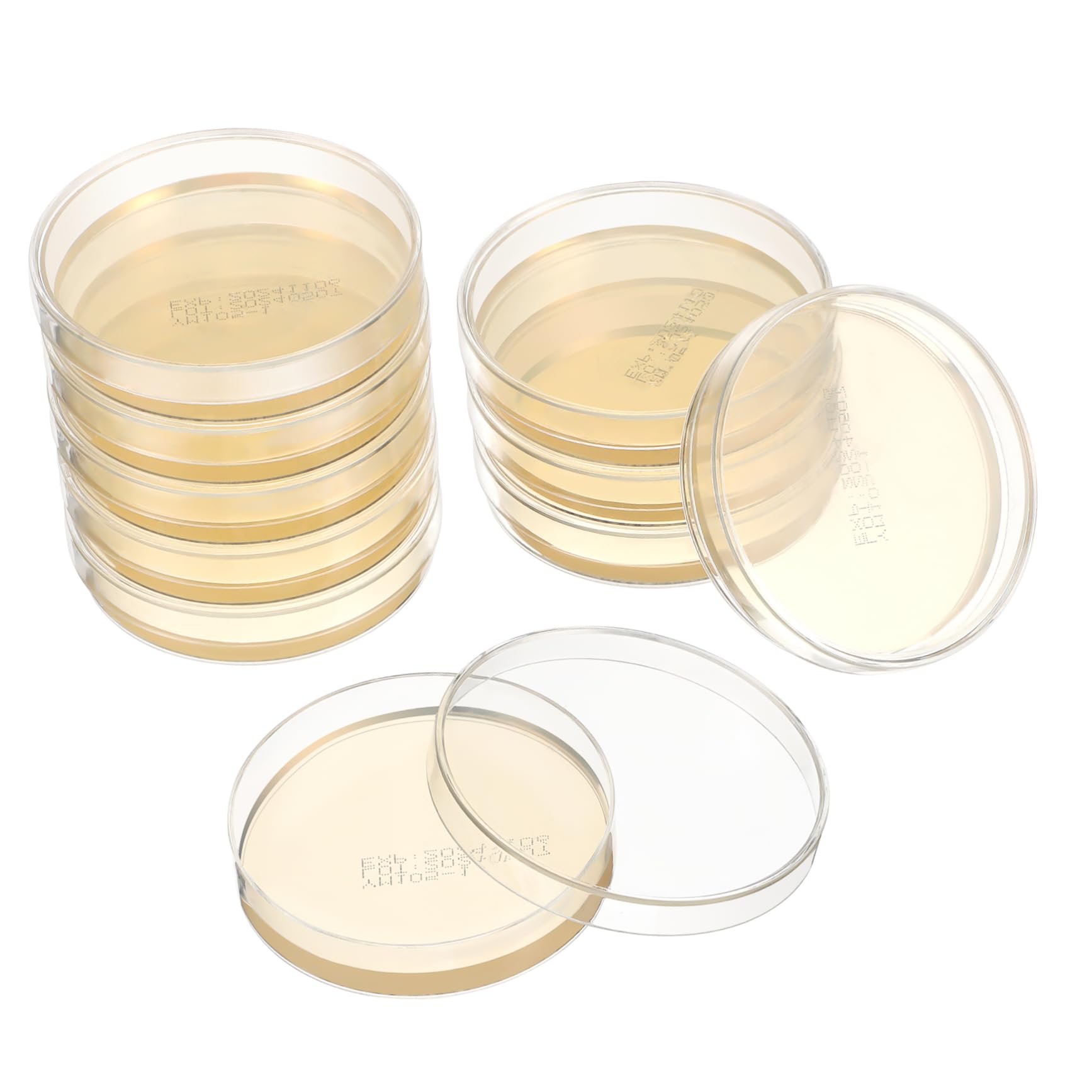 Buy BELLIFFY 10Pcs Prepoured Agar Plates Petri Dishes for Science ...