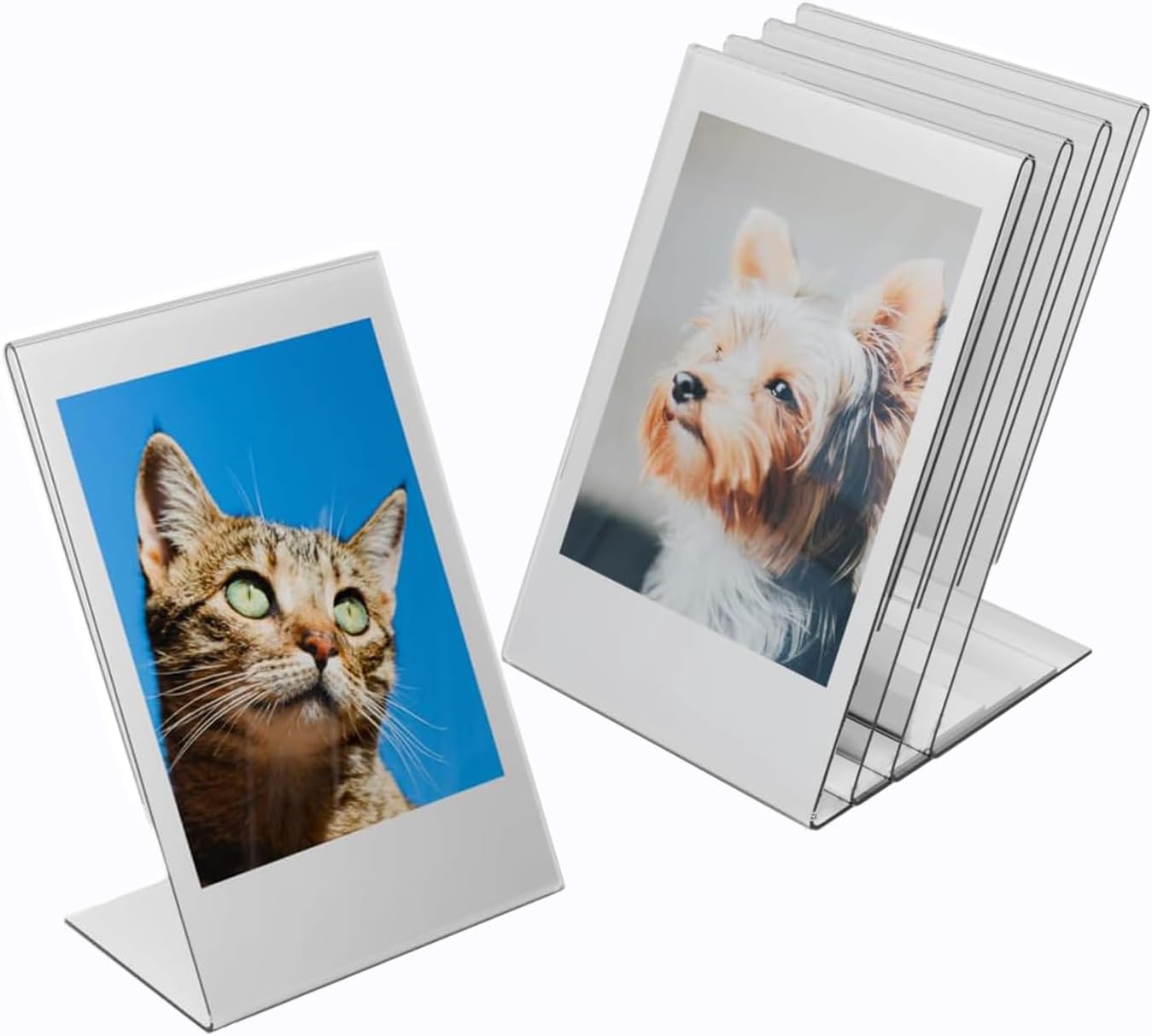 Matomtak 5 Packs Acrylic Instax Mini Picture Frame 2 x 3 Desk Polaroid ...