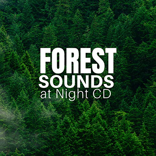 Amazon.com: Forest Sounds at Night CD : Forest Bathing: Digital Music