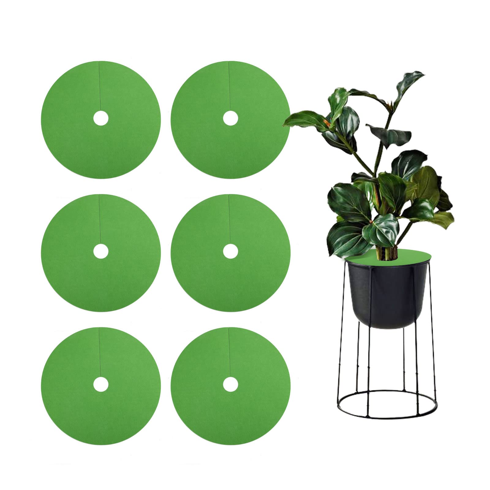 Buy WYSRJ 6Pack 12 Inch Tree Mulch Ring Weed Control Non-Woven Fabric ...