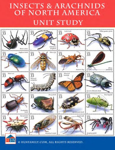 Amazon.com: Insects & Arachnids of North America Unit Study eBook ...