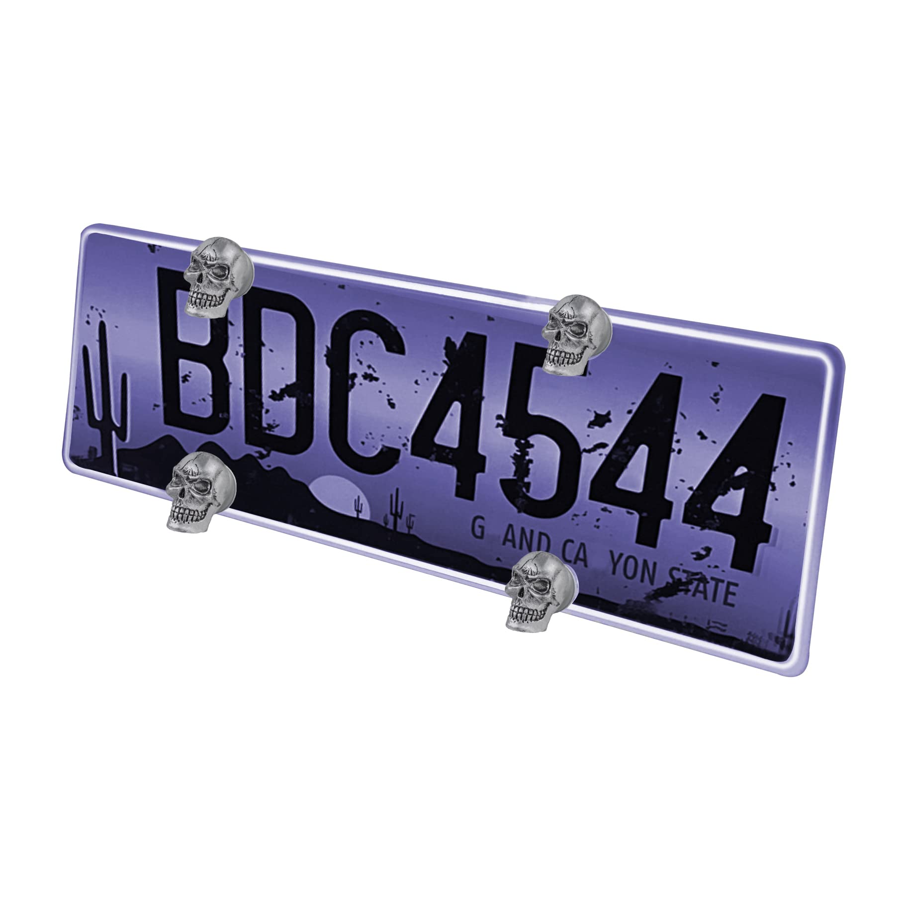 Snapklik.com : Lunsom License Plate Fasteners, 4 Pack Skull Shape Frame ...