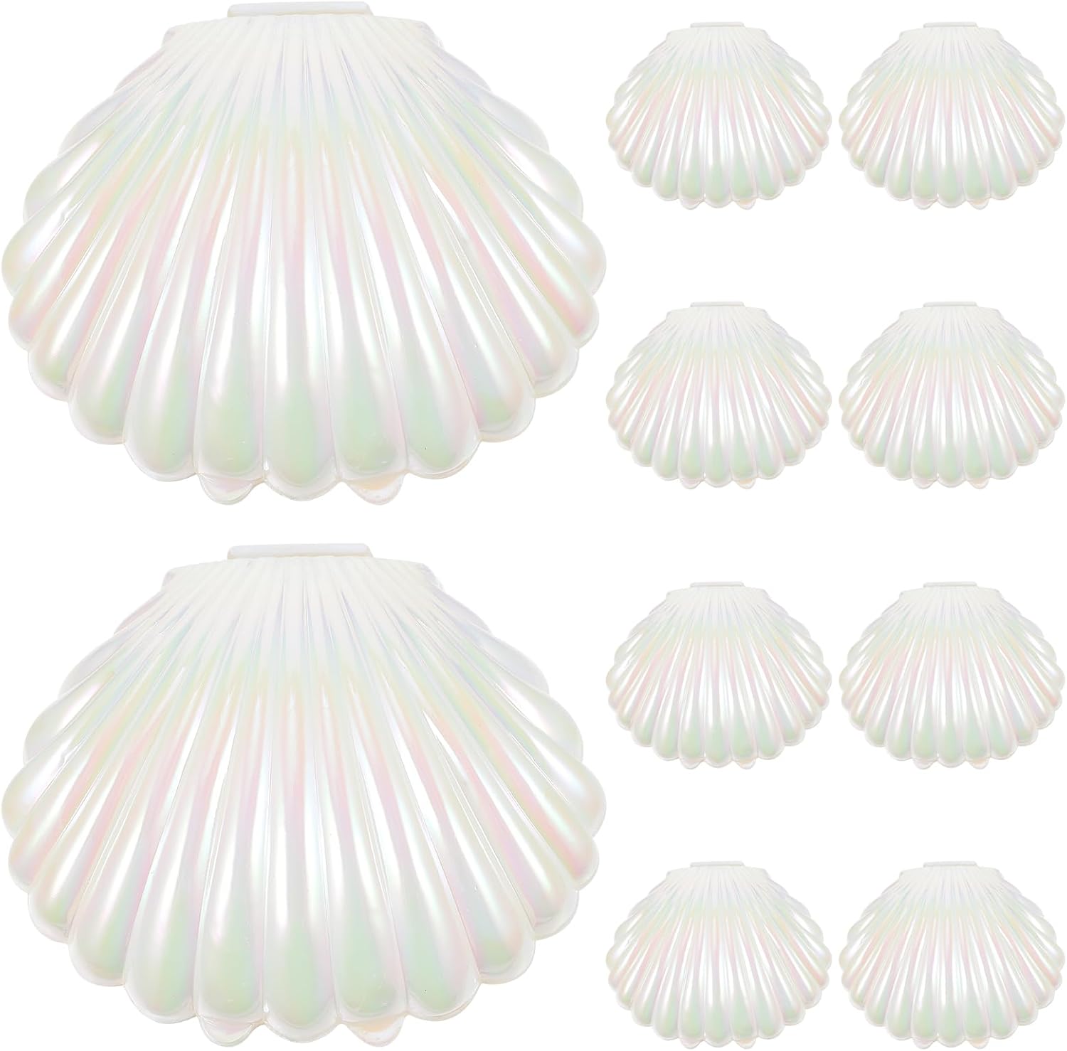 Amazon.com: jojofuny Plastic Containers Plastic Seashell Candy Boxes ...