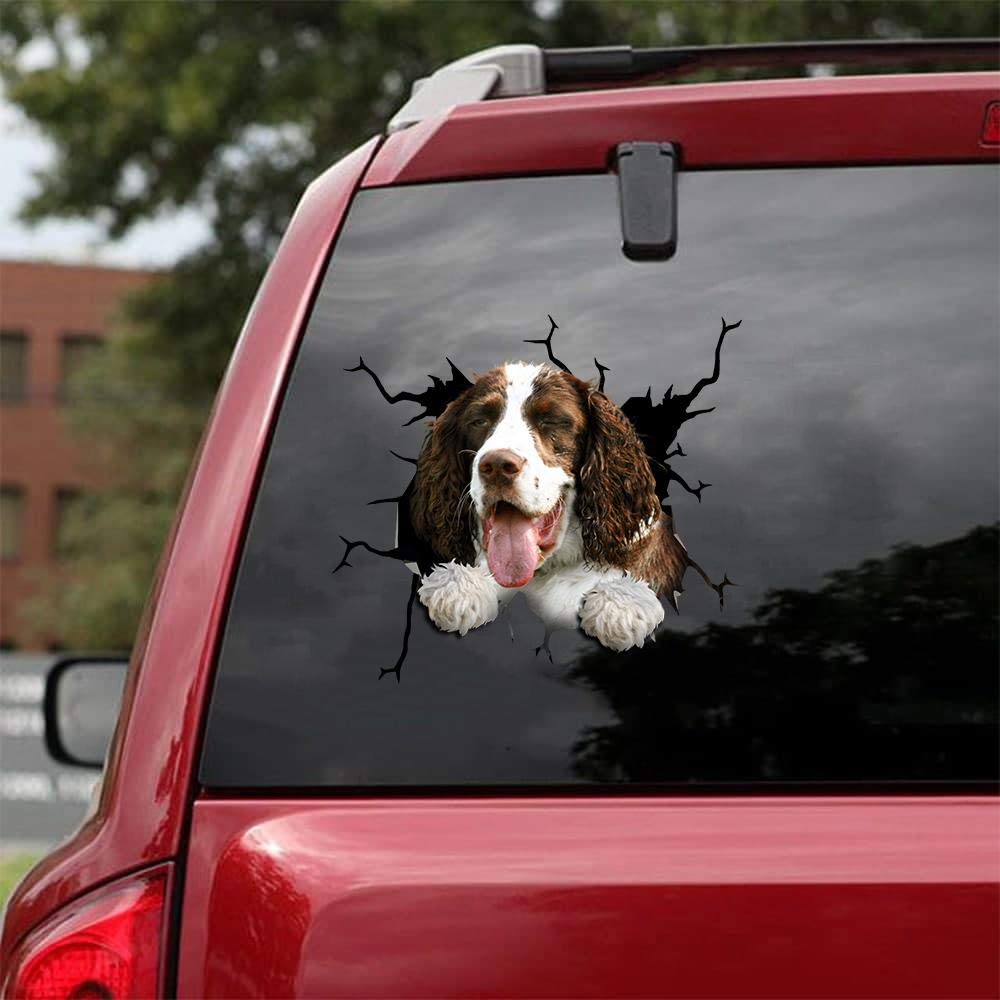 Amazon.com: Ocean Gift English Springer Spaniel Car Decals, Dog Car ...