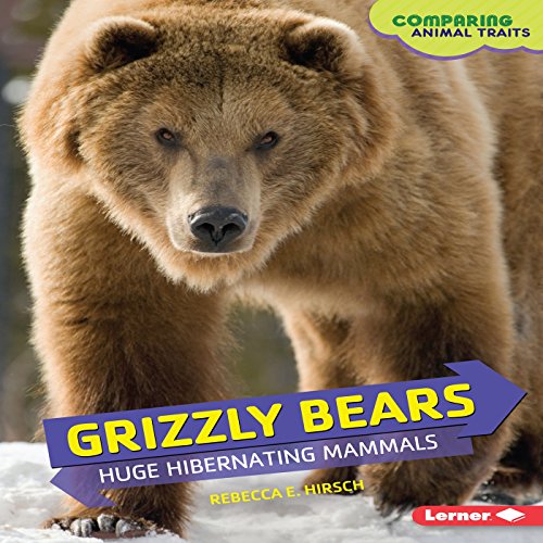 Amazon.com: Grizzly Bears: Huge Hibernating Mammals (Audible Audio ...