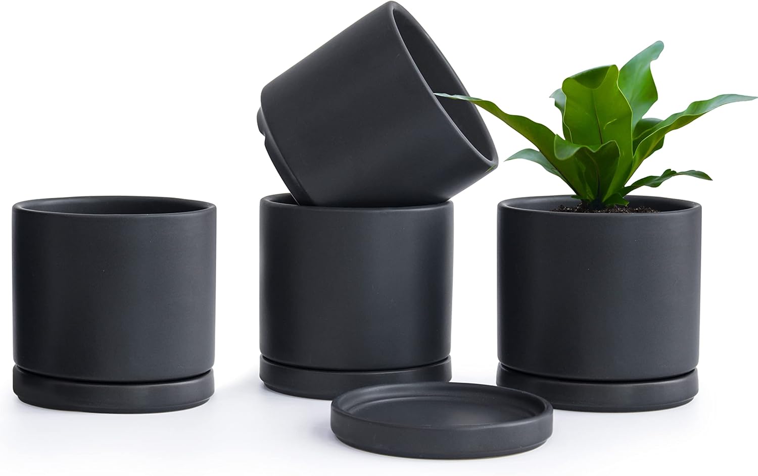 Amazon.com : D'vine Dev Set of 4 Small Ceramic Plant Pots, 4.6 Inch ...