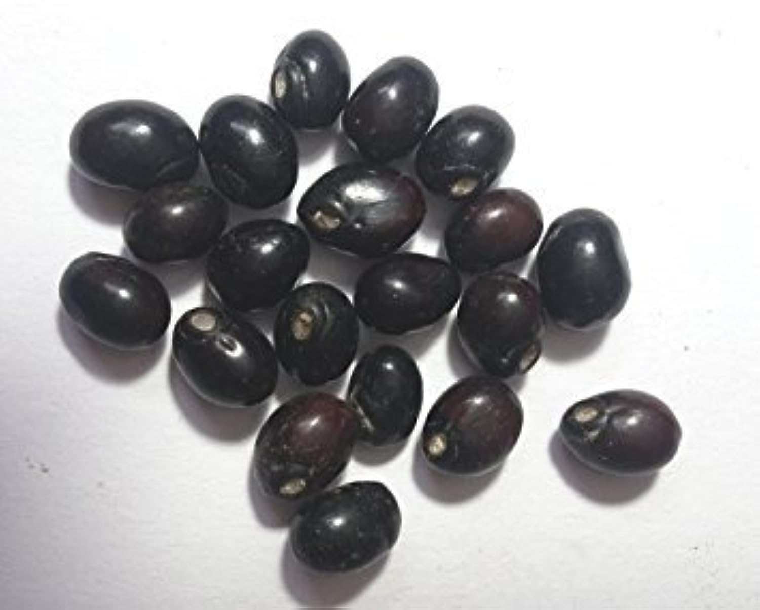 PMW - Pure and Original Rare Chirmi Seeds - Chirmi Gurinvida Beads ...
