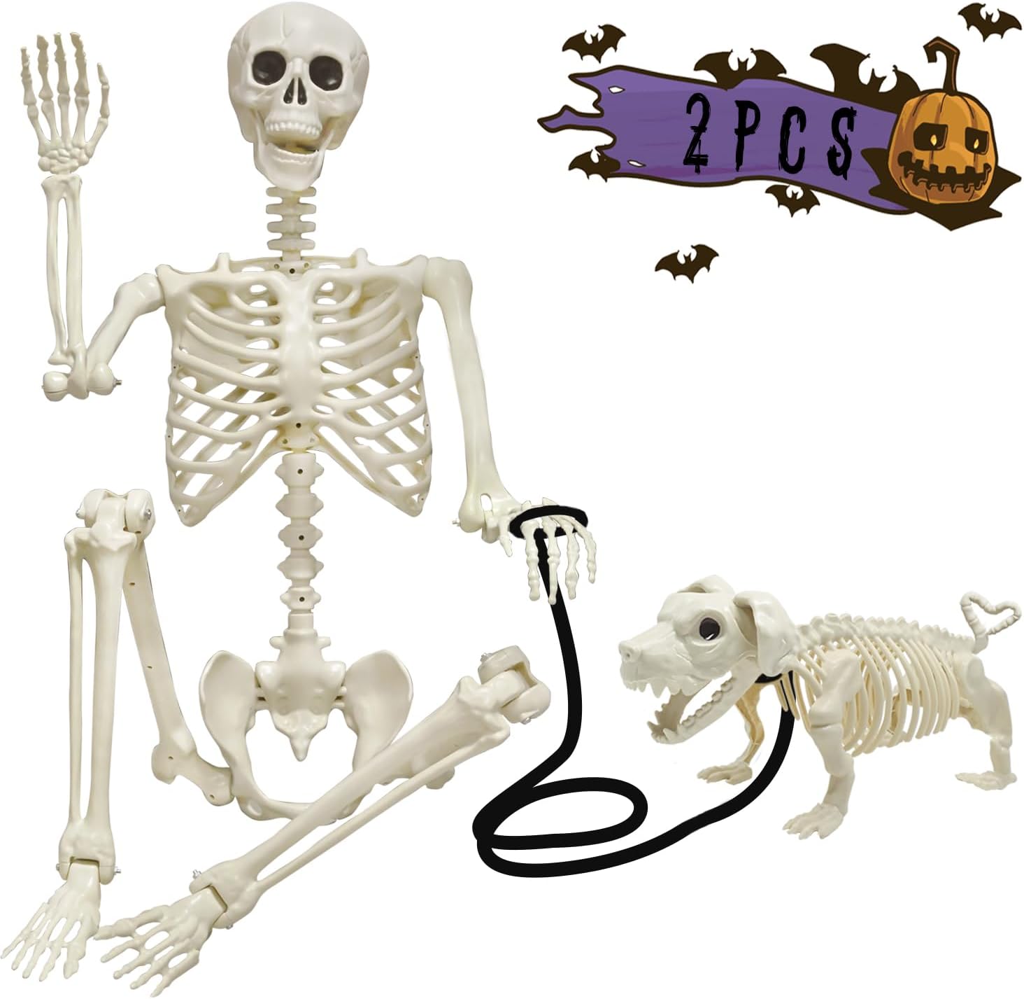 Amazon.com: 5.4 FT Life Size Skeleton Mardi Gra Decorations Posable ...