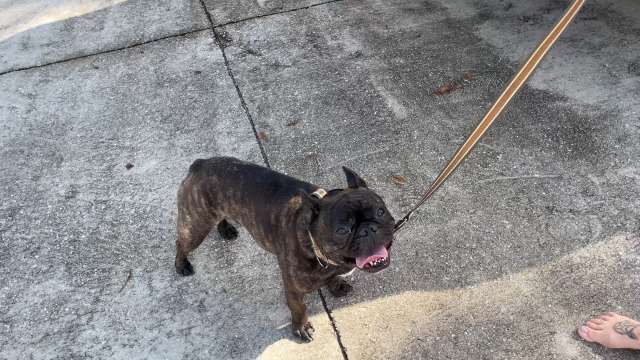 JakeOfALL's Amazon Page