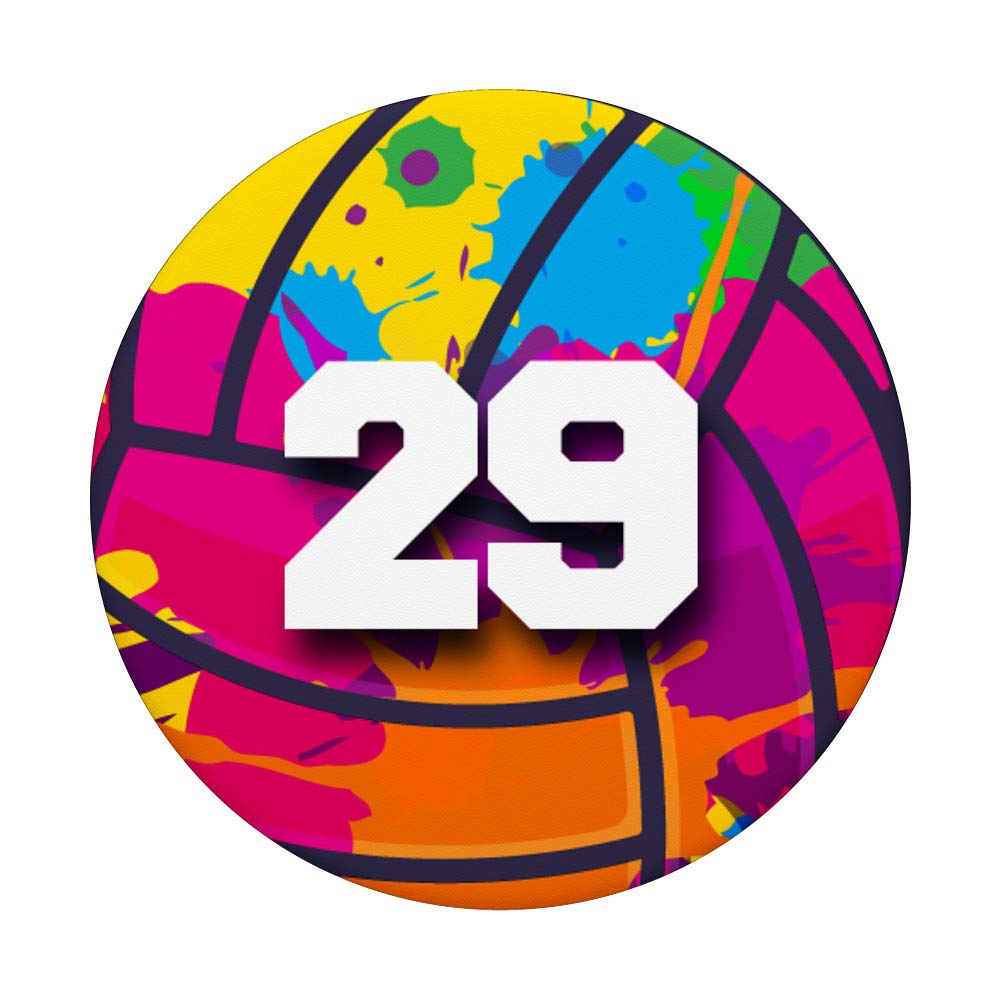 Number 29 On A Volleyball