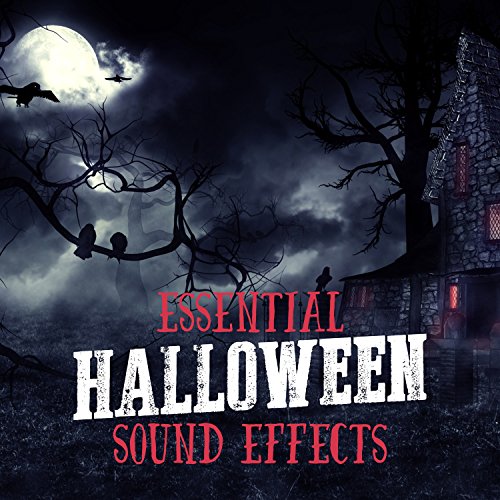 Essential Halloween Sound Effects : Various artists: Amazon.de: Digital ...