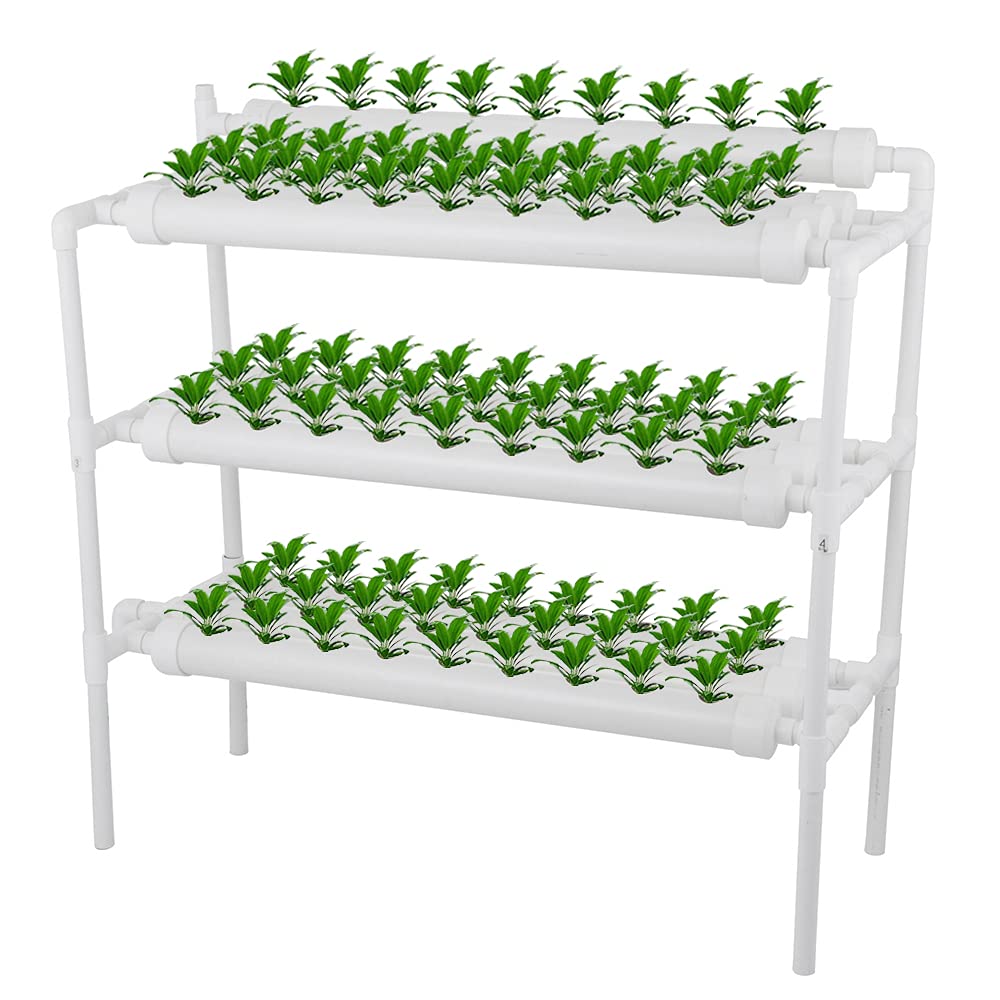 Growing Hydroponics In Pvc Pipe at Kathleen Blum blog