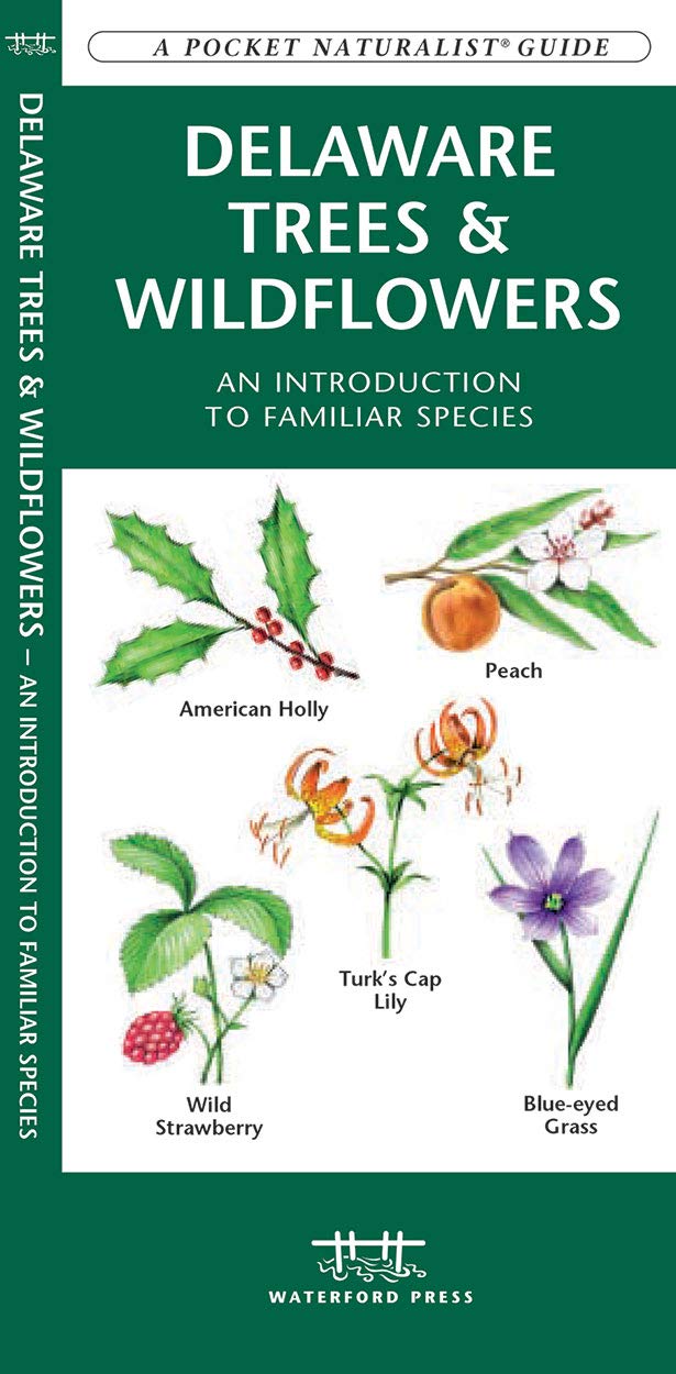 Delaware Trees & Wildflowers: A Folding Pocket Guide to Familiar ...