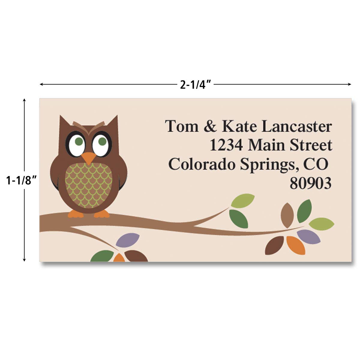 Owl Return Address Labels Amazon.com : Owls Seasonal Rolled
