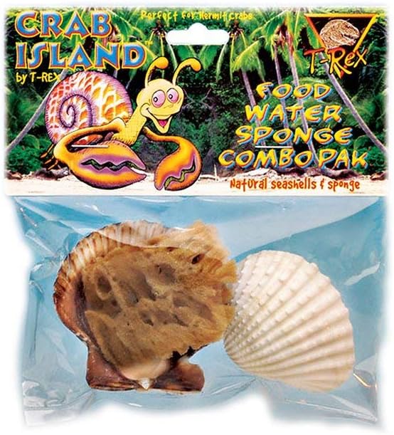 Amazon.com : T-Rex Hermit Crab Accessory - Food & Water Dish & Sponge ...
