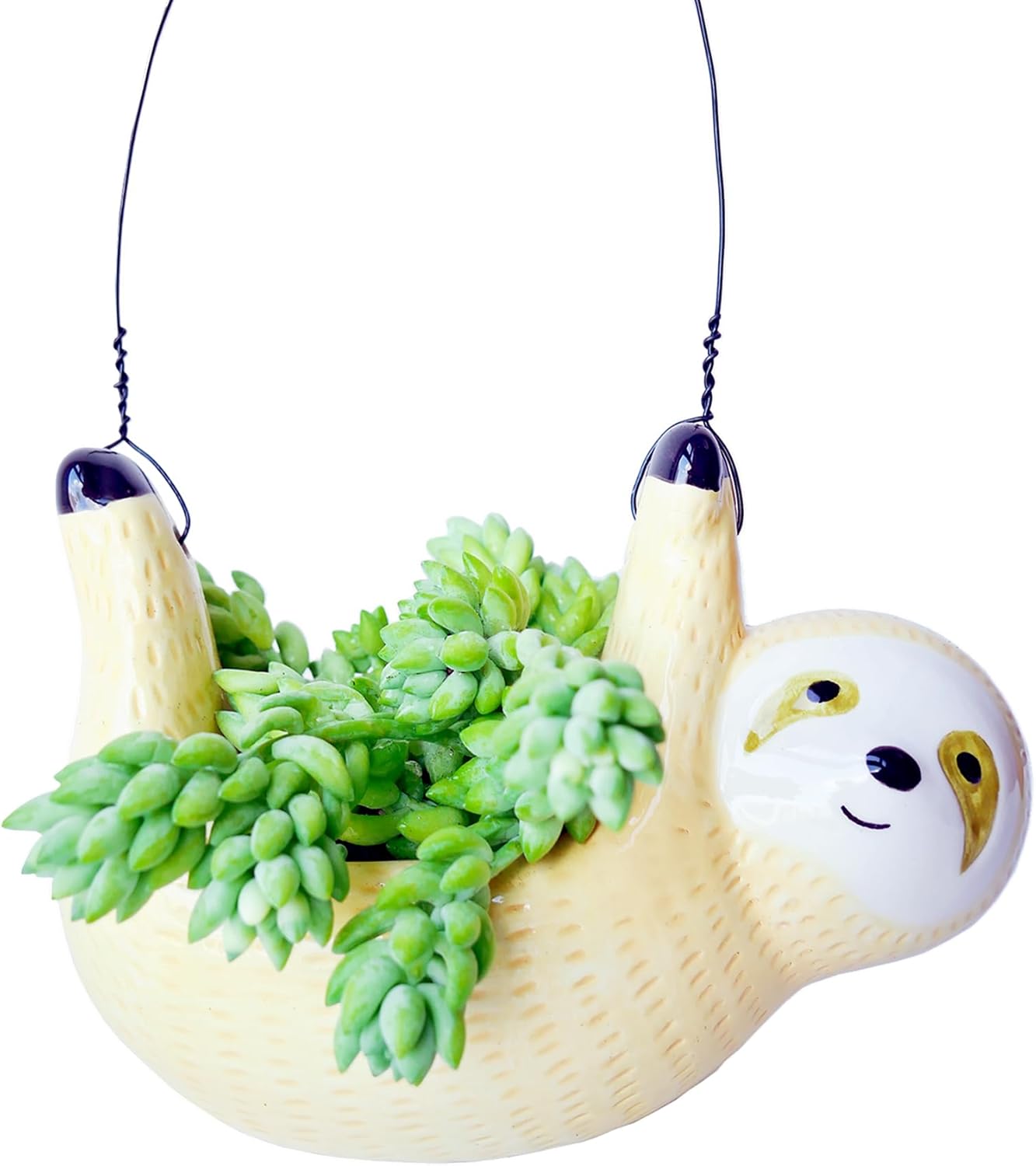 Amazon.com: zoowalker Outdoor Sloth Hanging Planter, Cute 6.7” Ceramic ...