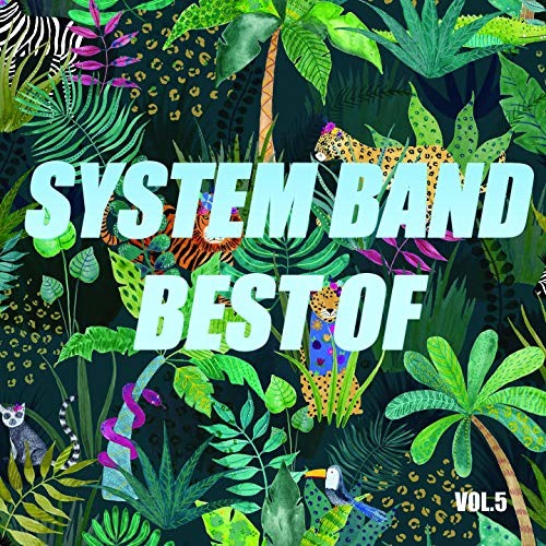 Amazon.com: Best of system band (Vol.5) : System Band: Digital Music