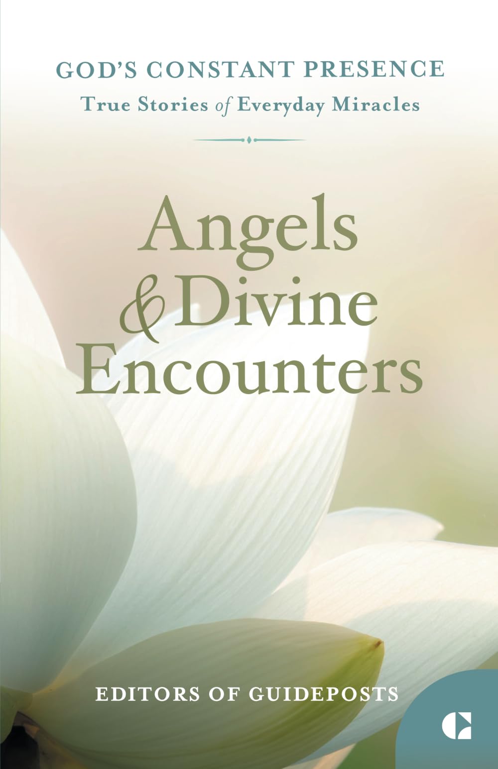 Angels & Divine Encounters: True Stories of Everyday Miracles (God's ...