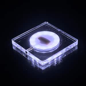Amazon.com: AMZSTAR USB Rechargeable LED Coaster White Light Up ...