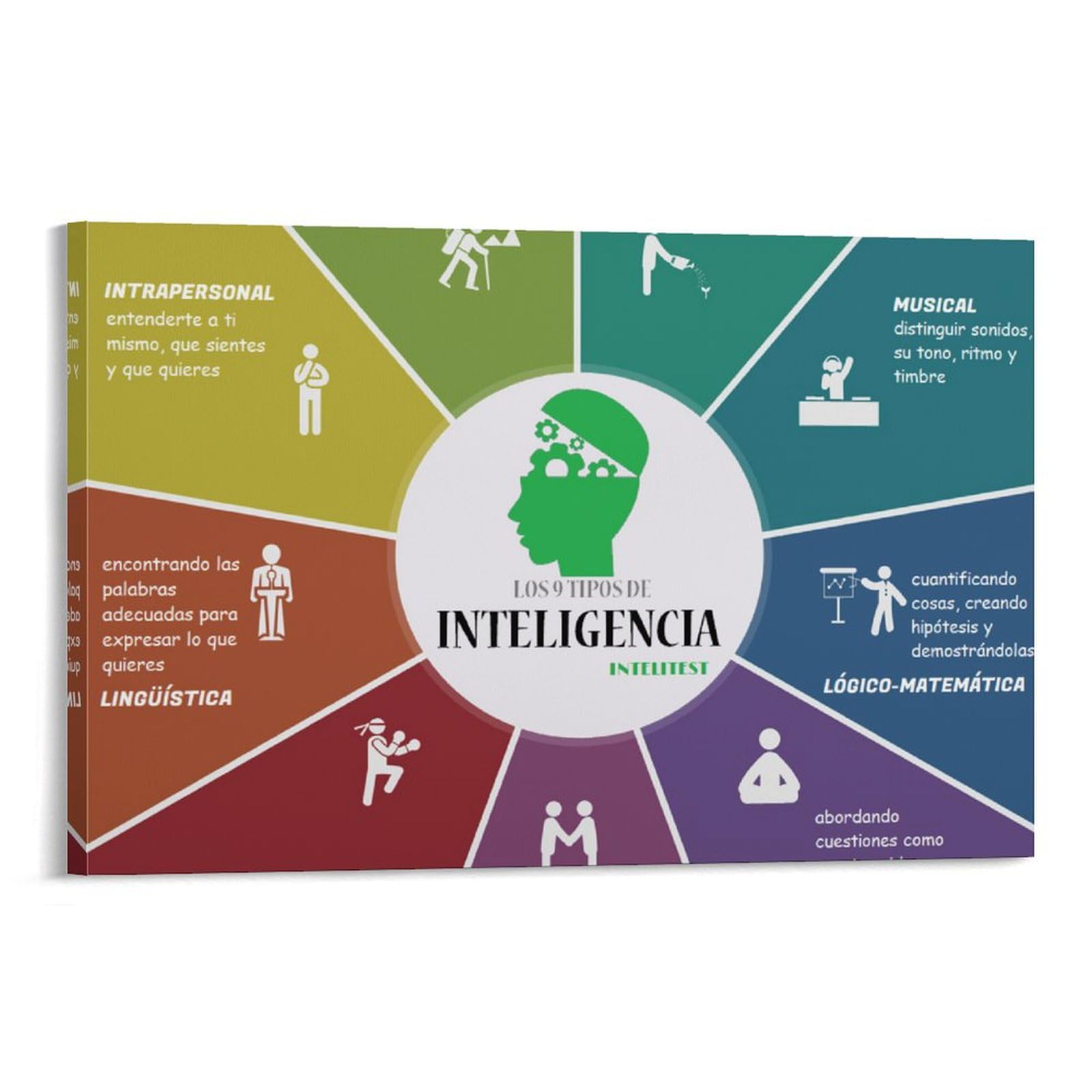 Multiple Intelligence Types