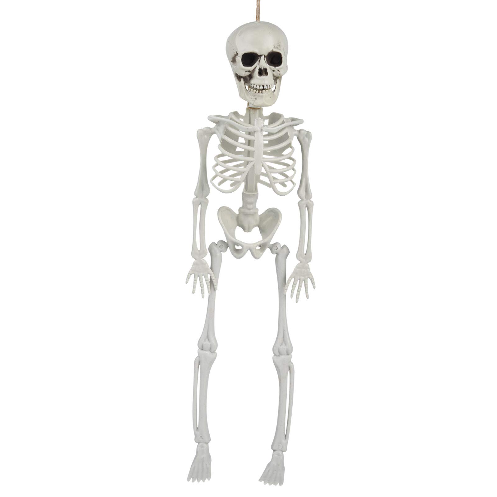 Buy Life Size Skeleton Full Body Realistic Human s with Posable Joints ...