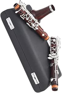 Cocobolo Single Reed Clarinet Silver Plated B Flat 18 Key Beginners ...