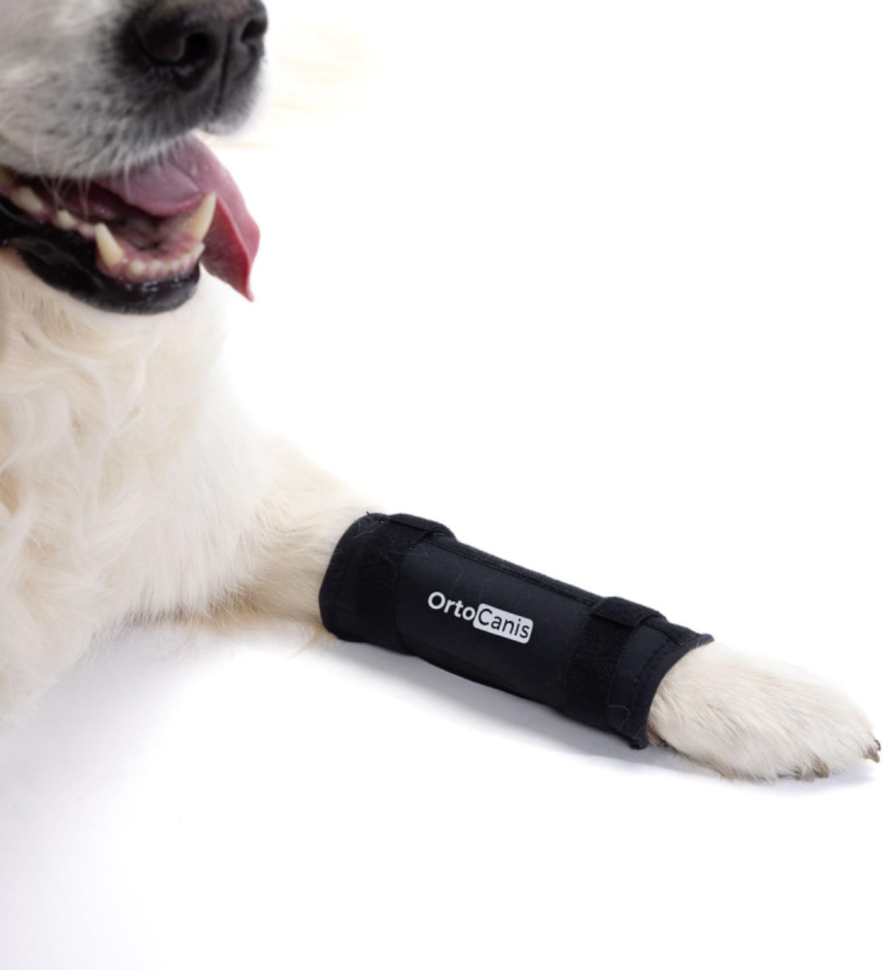 Ortocanis - Carpal Support for Dogs with Arthrosis, Ligament Injuries ...