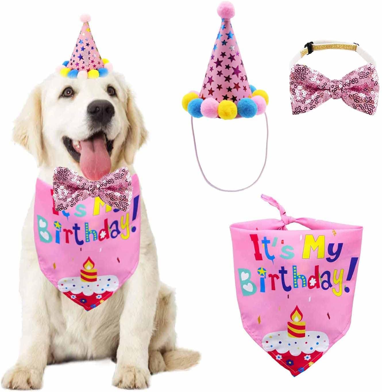 Dog Birthday Bandana, Pets Birthday Party Supplies Cute Girl Dog ...