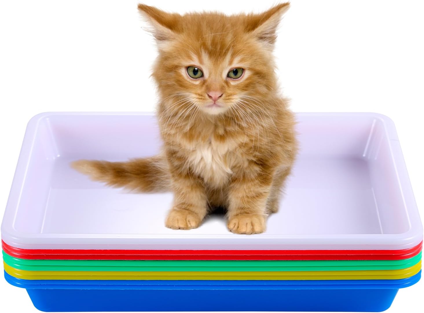 Amazon.com: LUTER 10pcs Kitten Litter Box, Plastic Cat Litter Trays ...