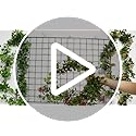 Amazon.com: RECUTMS Faux Eucalyptus Garland Plant, 2 Packs Artificial Vines Hanging Grape Vine ...