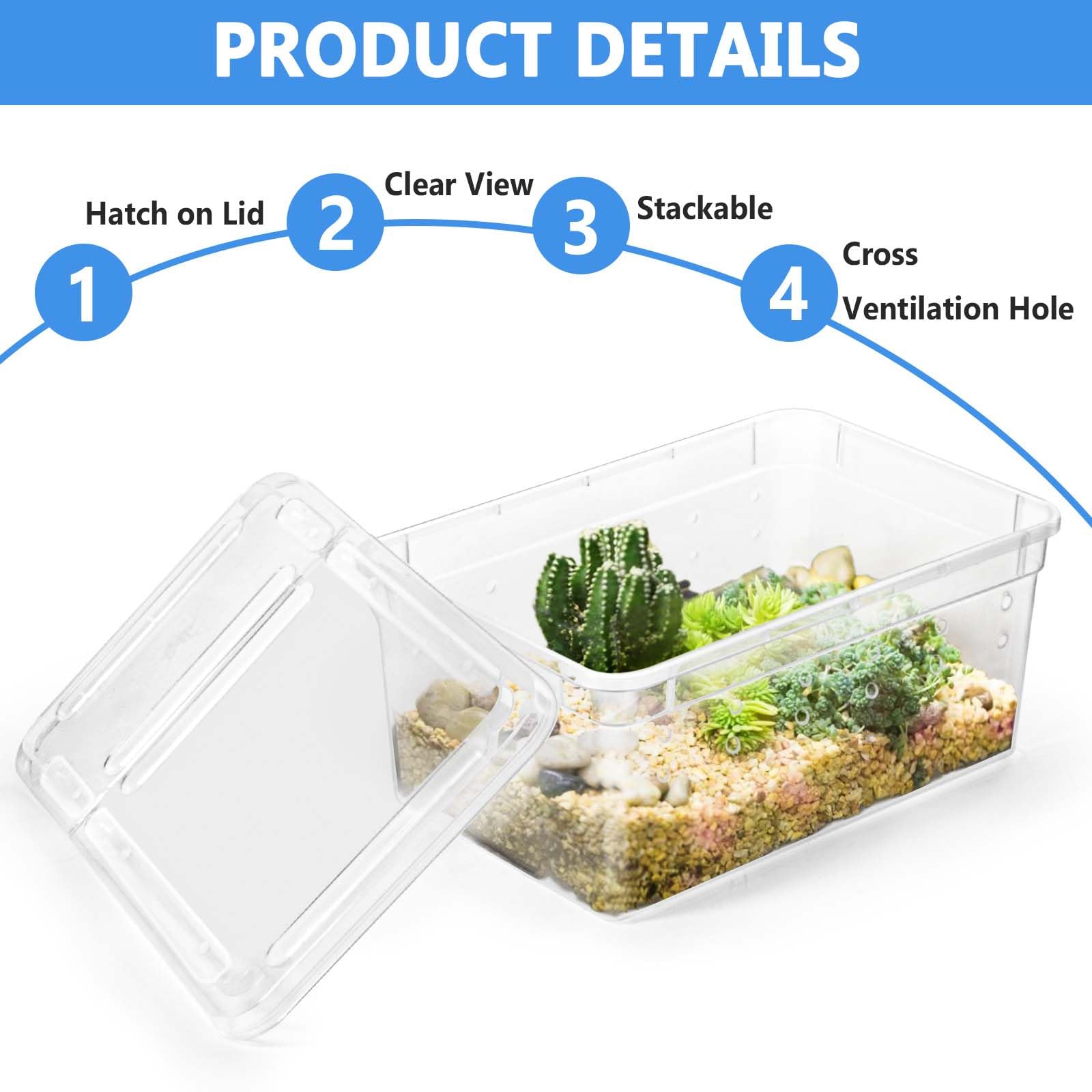 Snapklik.com : 6 Pcs Spider Terrariums Breeding Box Insect Container ...