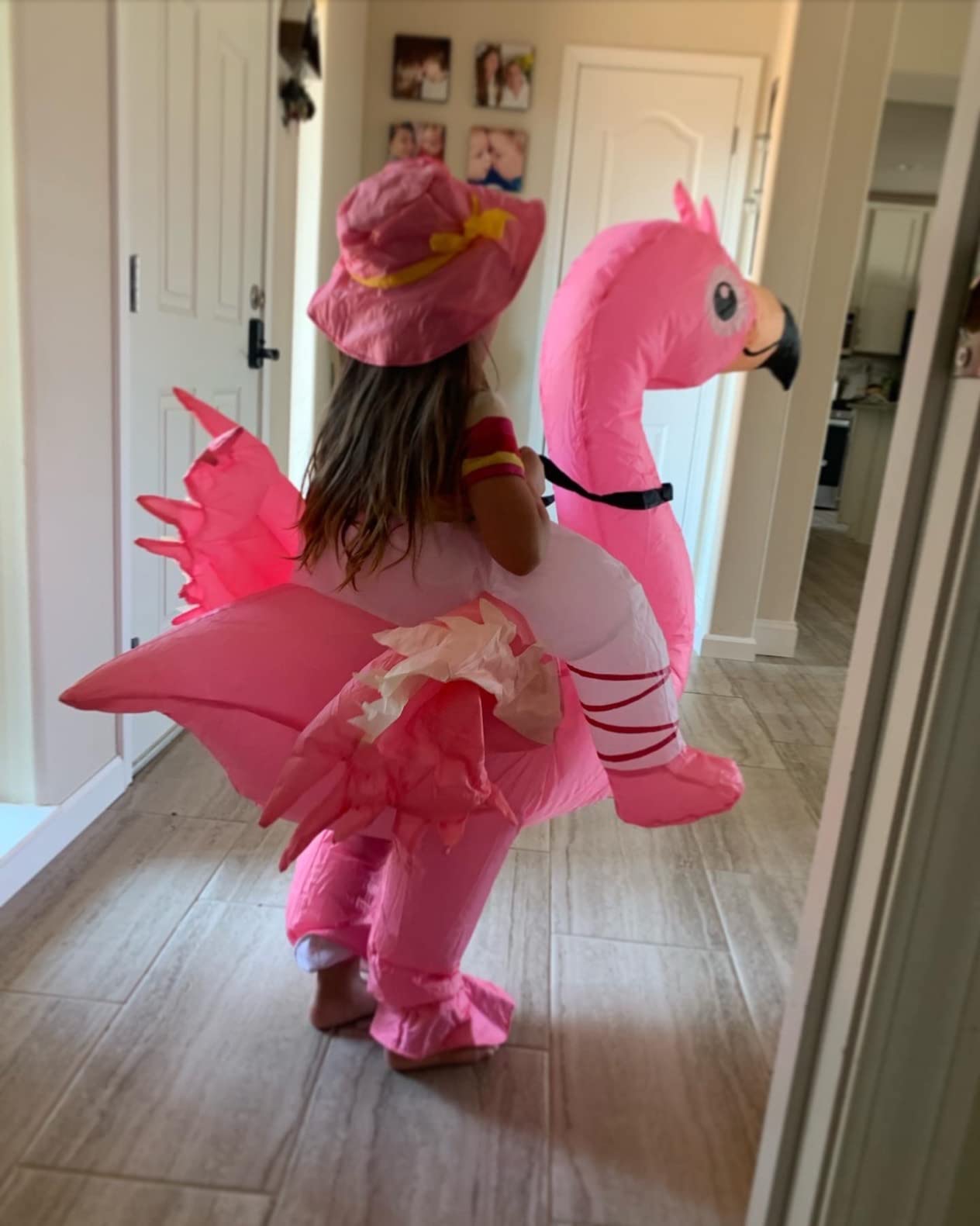 $7/mo - Finance One Casa Inflatable Flamingo Costume Riding On Flamingo ...