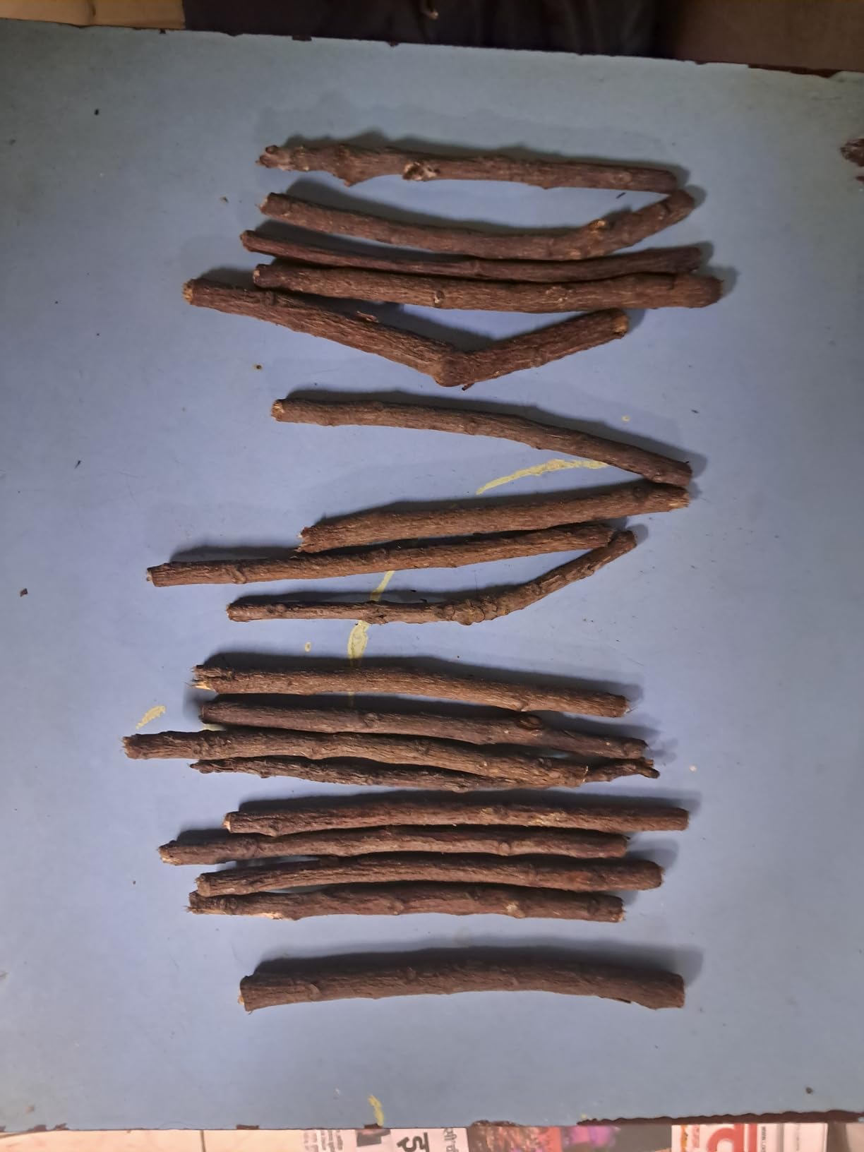 Buy BuyandCheers Natural Neem Chew Sticks/Tree Datun Twigs Organic ...