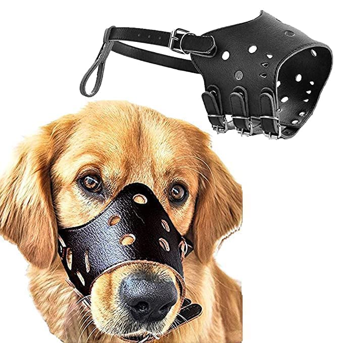 Pups&Pets pet Adjustable Leather Anti-bite Guard | Polyurethane Leather ...