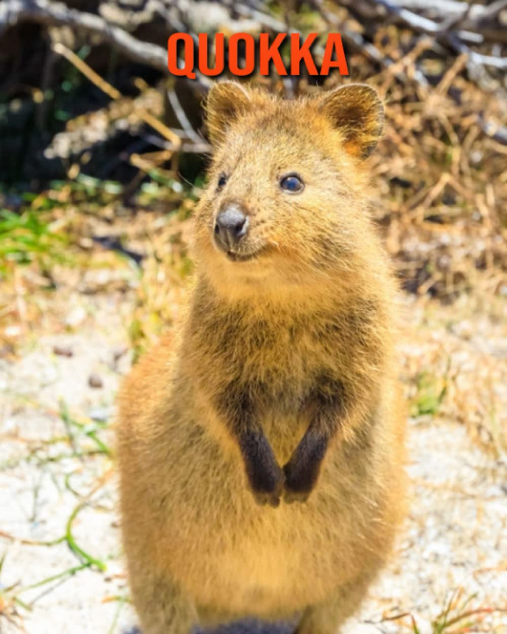 Buy Quokka: Libro para niños con imágenes asombrosas y datos curiosos ...