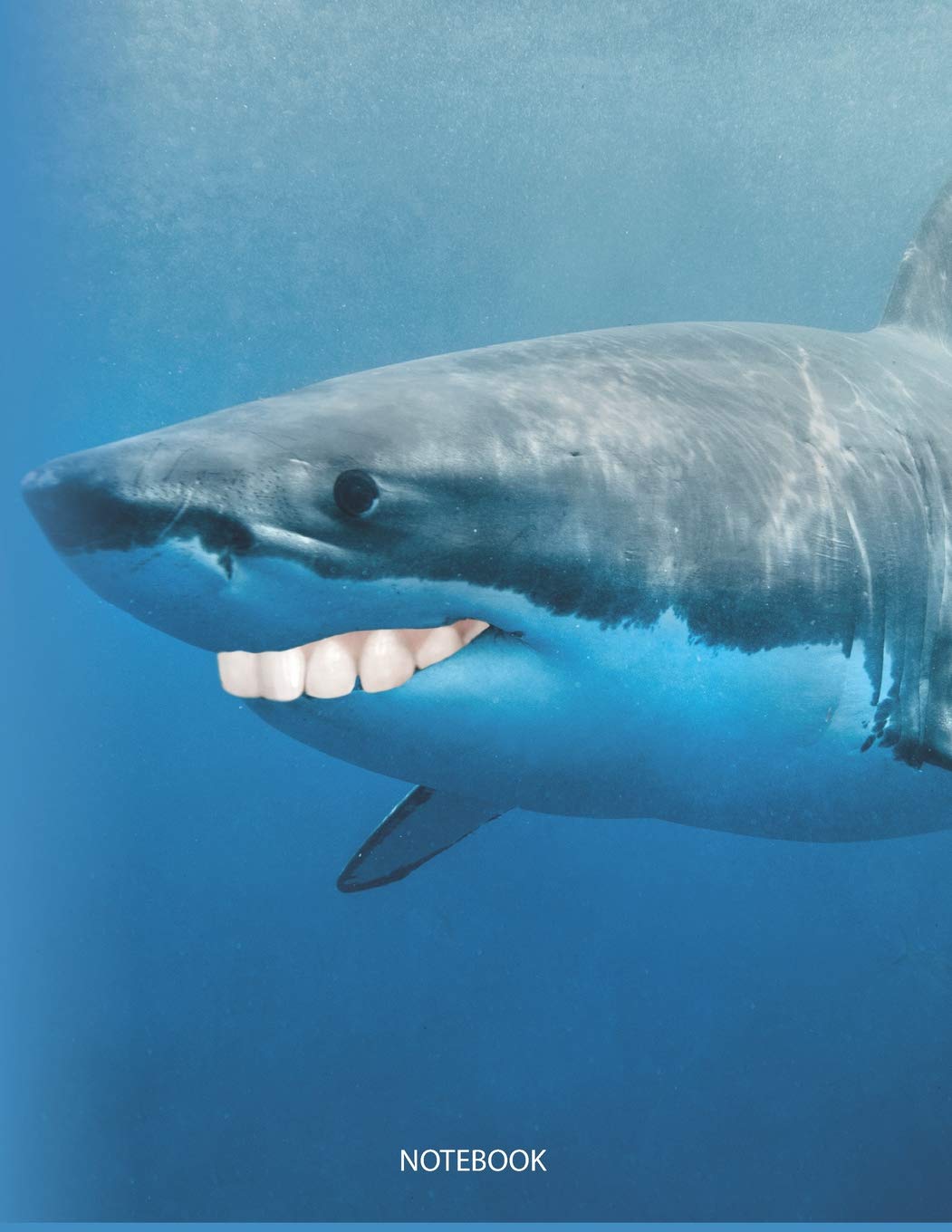 Great White Shark Human Teeth