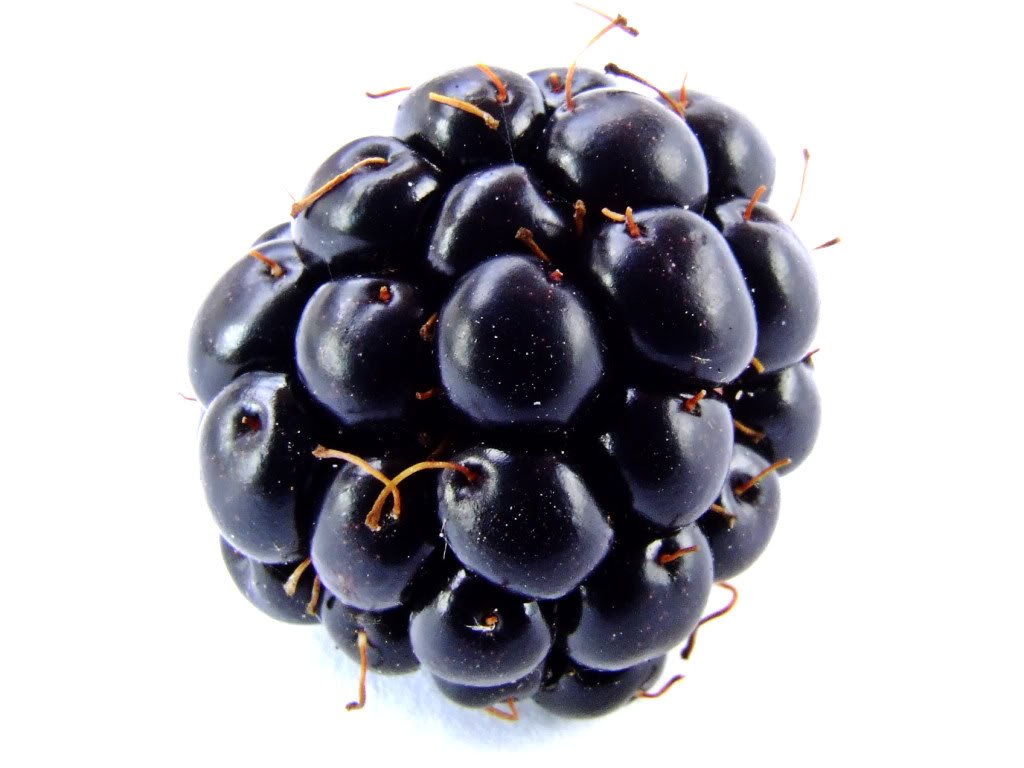 One Blackberry Fruit Png