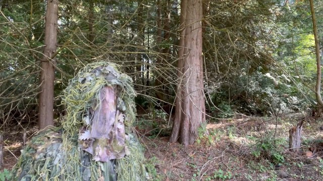 Watch Ghillie Camouflage Leafy Hat 3D Full Face Mask Headwear on Amazon ...