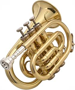Amazon.com: Trumpets For Adults B Flat Pocket Trumpet Musical ...