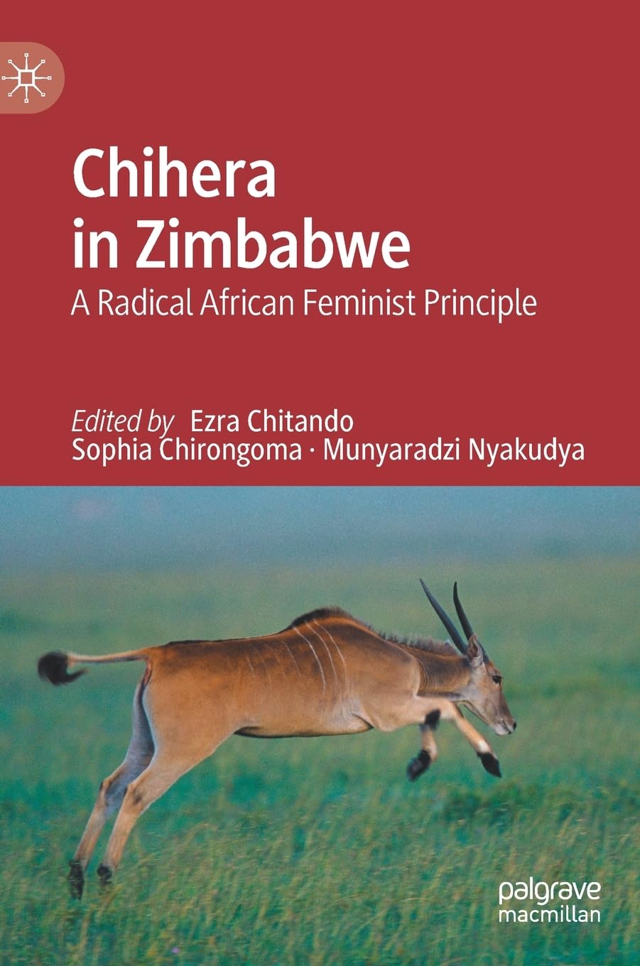 Amazon.com: Chihera in Zimbabwe: A Radical African Feminist Principle ...