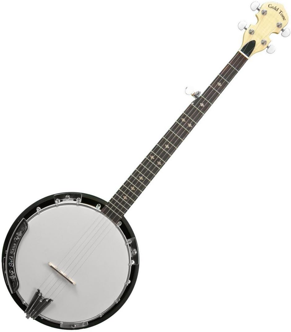 Amazon.com: Gold Tone 5-String Bluegrass Banjo w/ Gig Bag - CC-100R ...