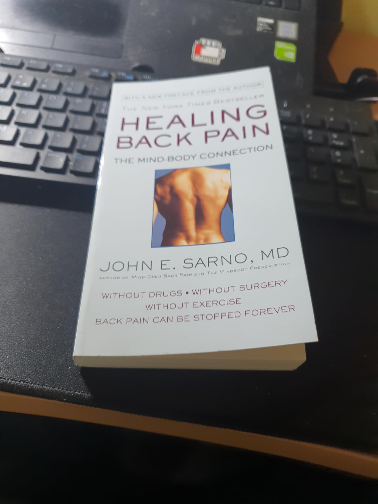 Buy Healing Back Pain: The Mind-Body Connection Book Online at Low ...