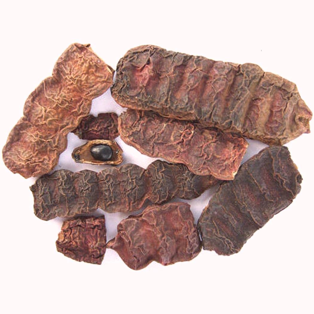 Plantzoin Soap-pod Shikakai Senegalia rugata 50 Gram Seed for ...